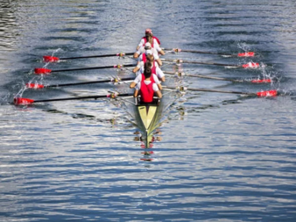 The Old Edwardian Society